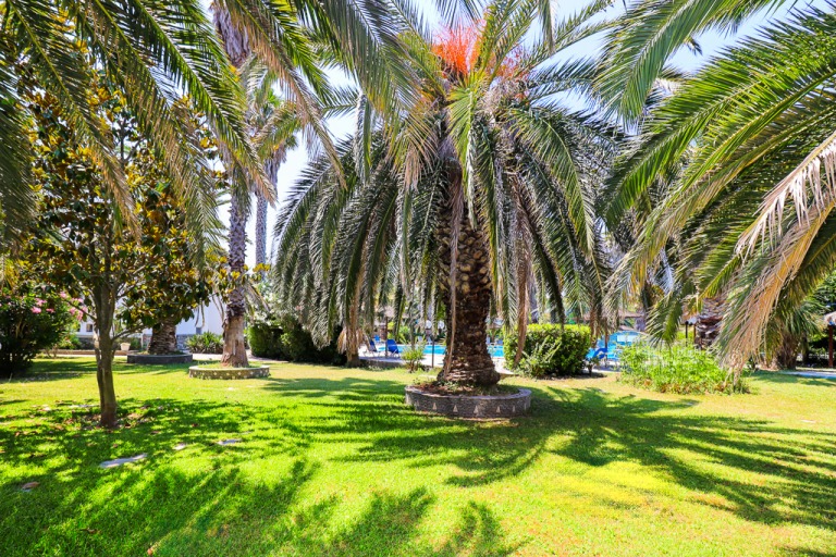 Тур на відпочинок в готелі Palma Village Family Club Hotel By Greek ...